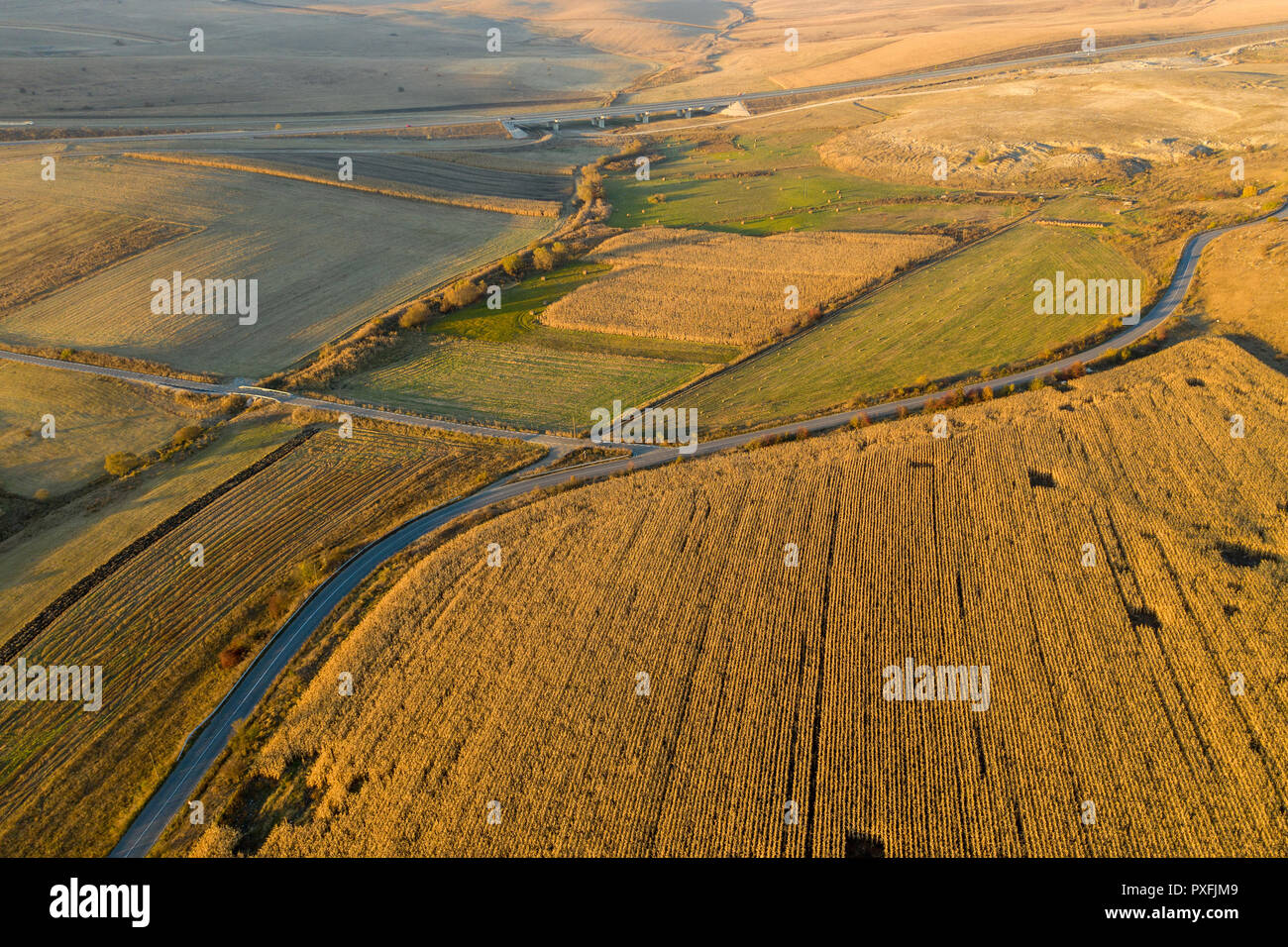 Aerial agricultural landscape. Plantation field ready for harvest ...