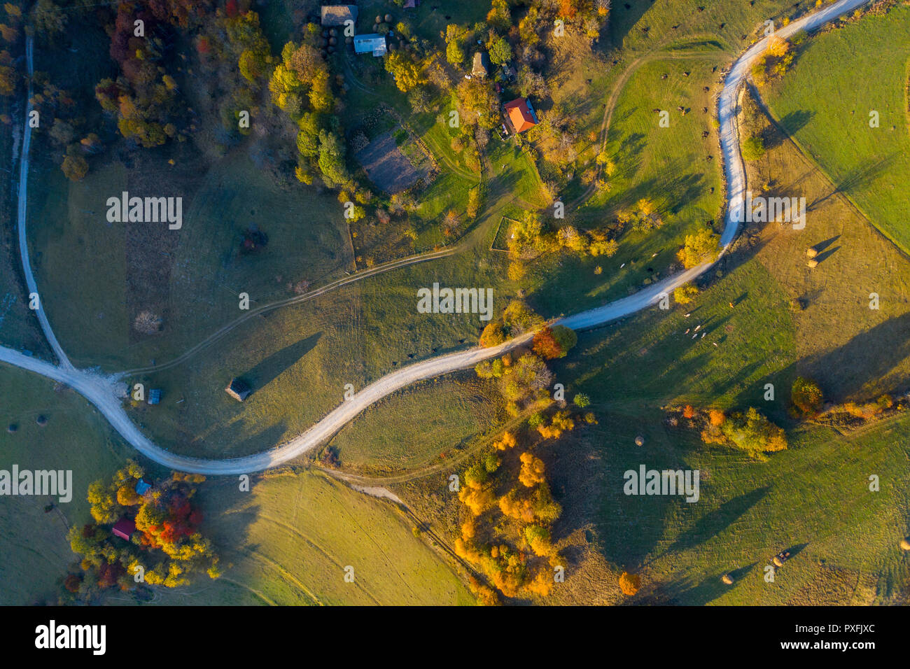 Aerial drone view of a countryside dirt road at autumn Stock Photo - Alamy