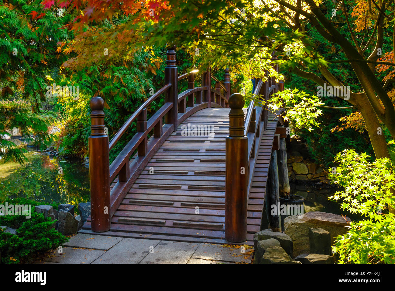 Beautiful japanese garden with bridge in autumn time Stock Photo - Alamy