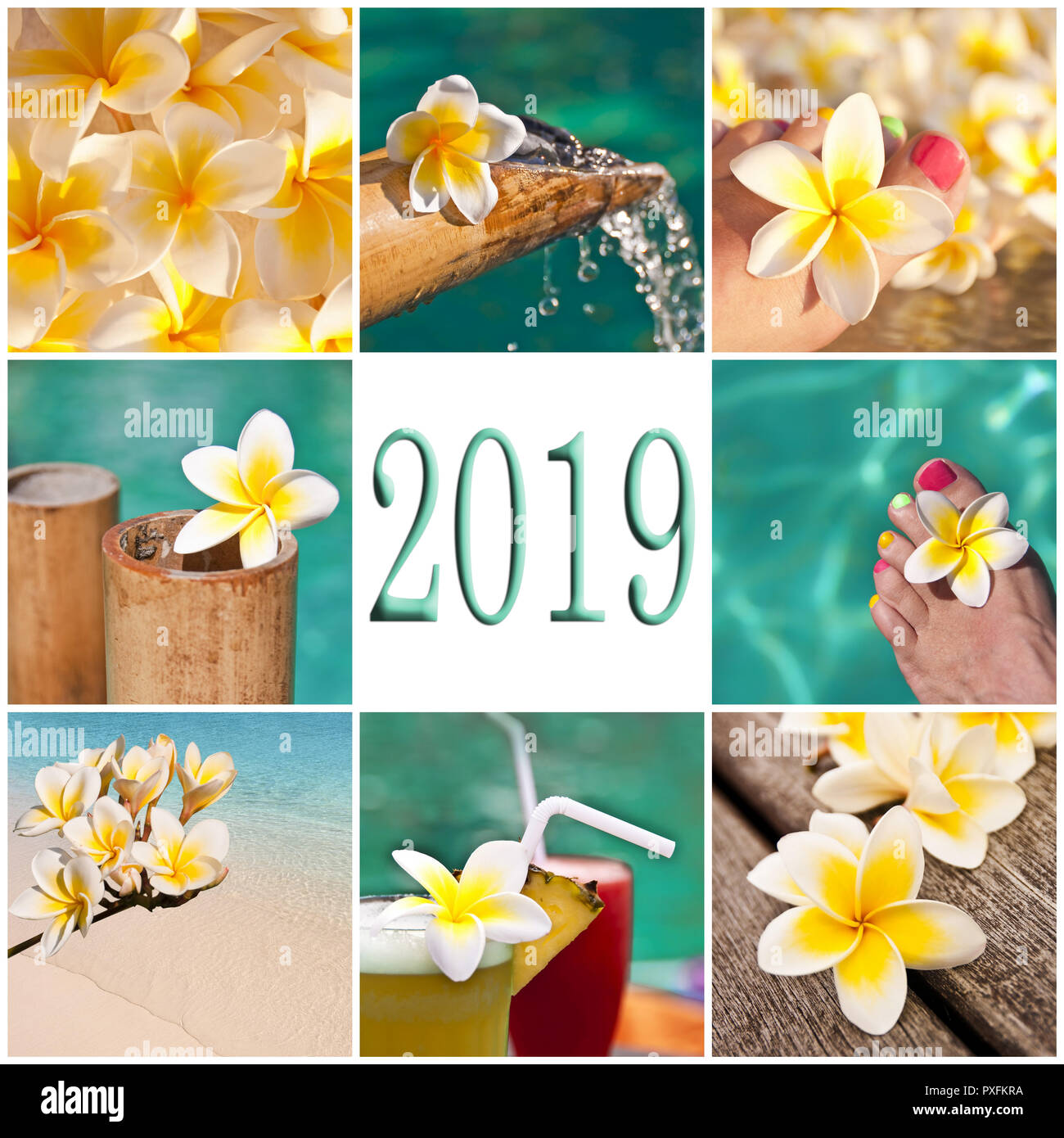 2019, swimming pool and plumeria collage Stock Photo - Alamy
