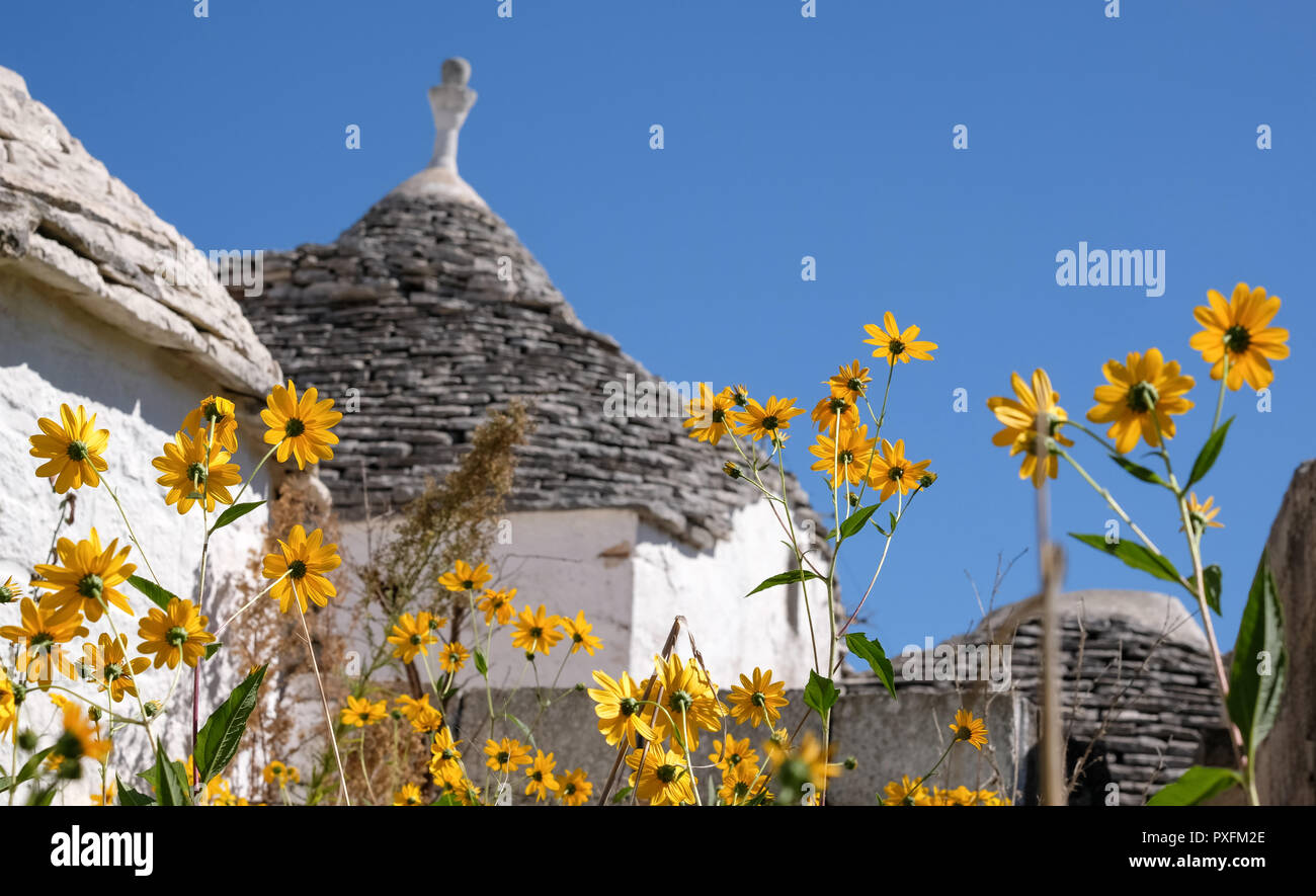View of conical roof of traditional dry stone trullo house in ...