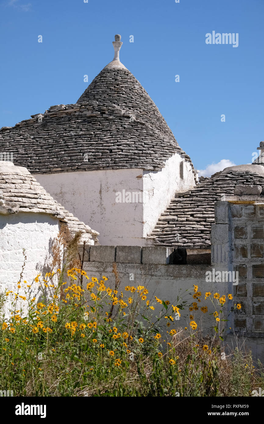 View of conical roof of traditional dry stone trullo house in ...