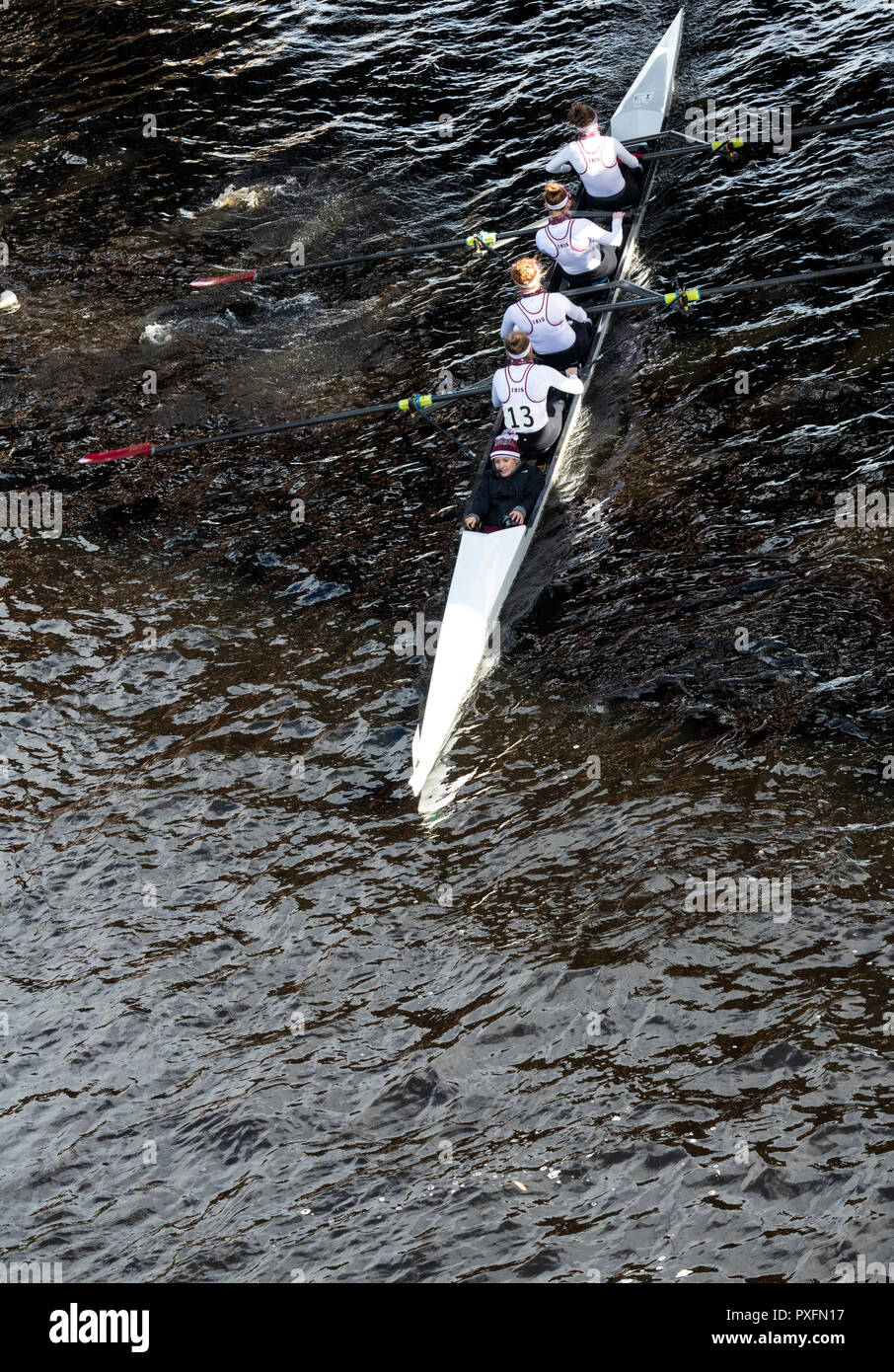 This is annual rowing race on the Charles River in Boston Stock Photo ...