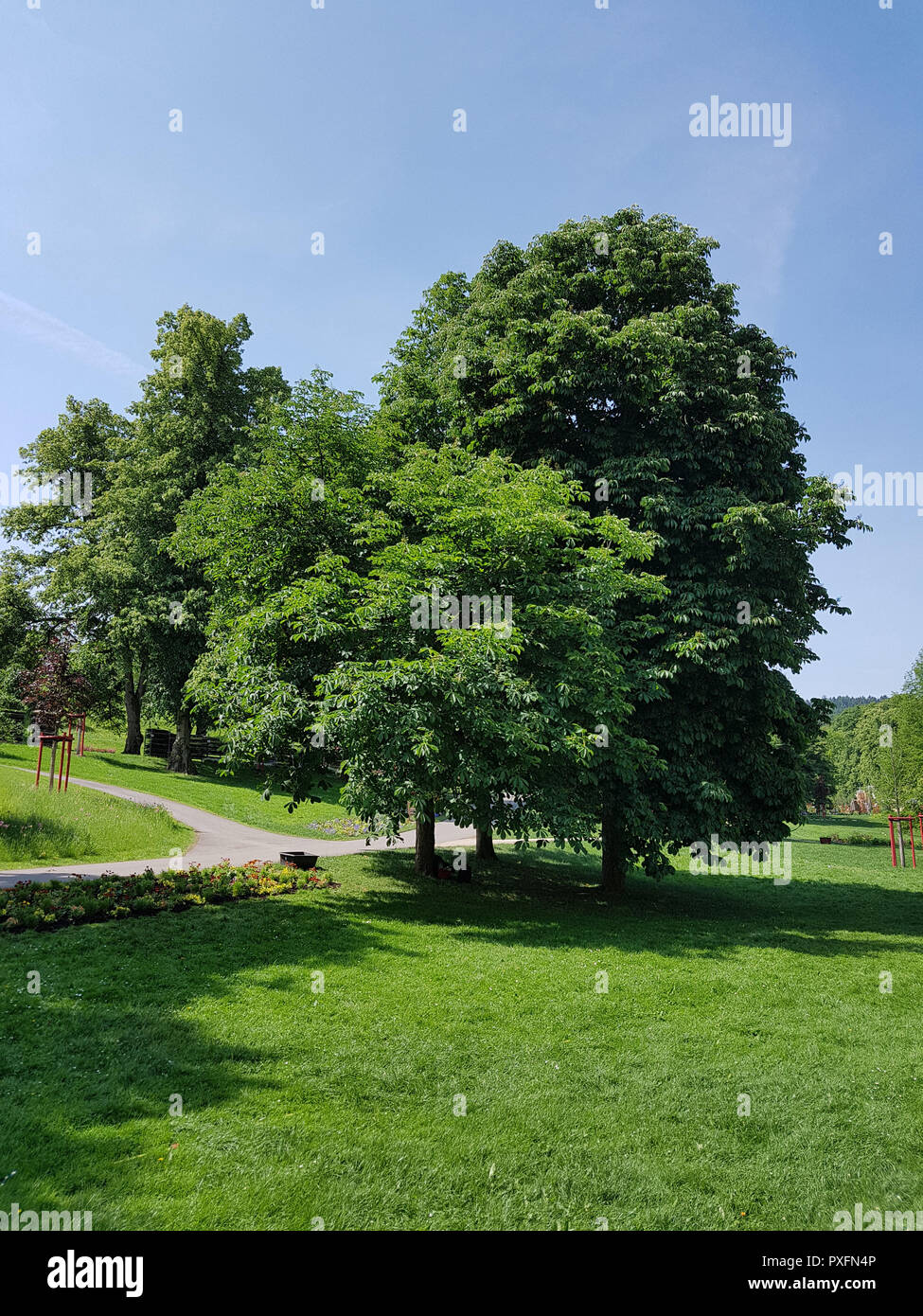 Kurpark, Bad Schwalbach Stock Photo - Alamy