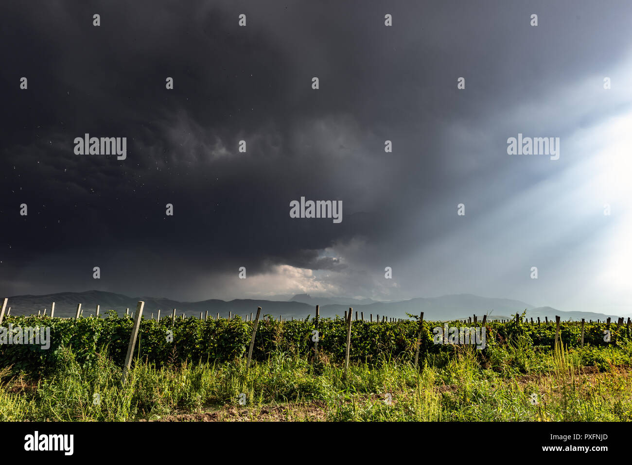 Sudden change hi-res stock photography and images - Alamy