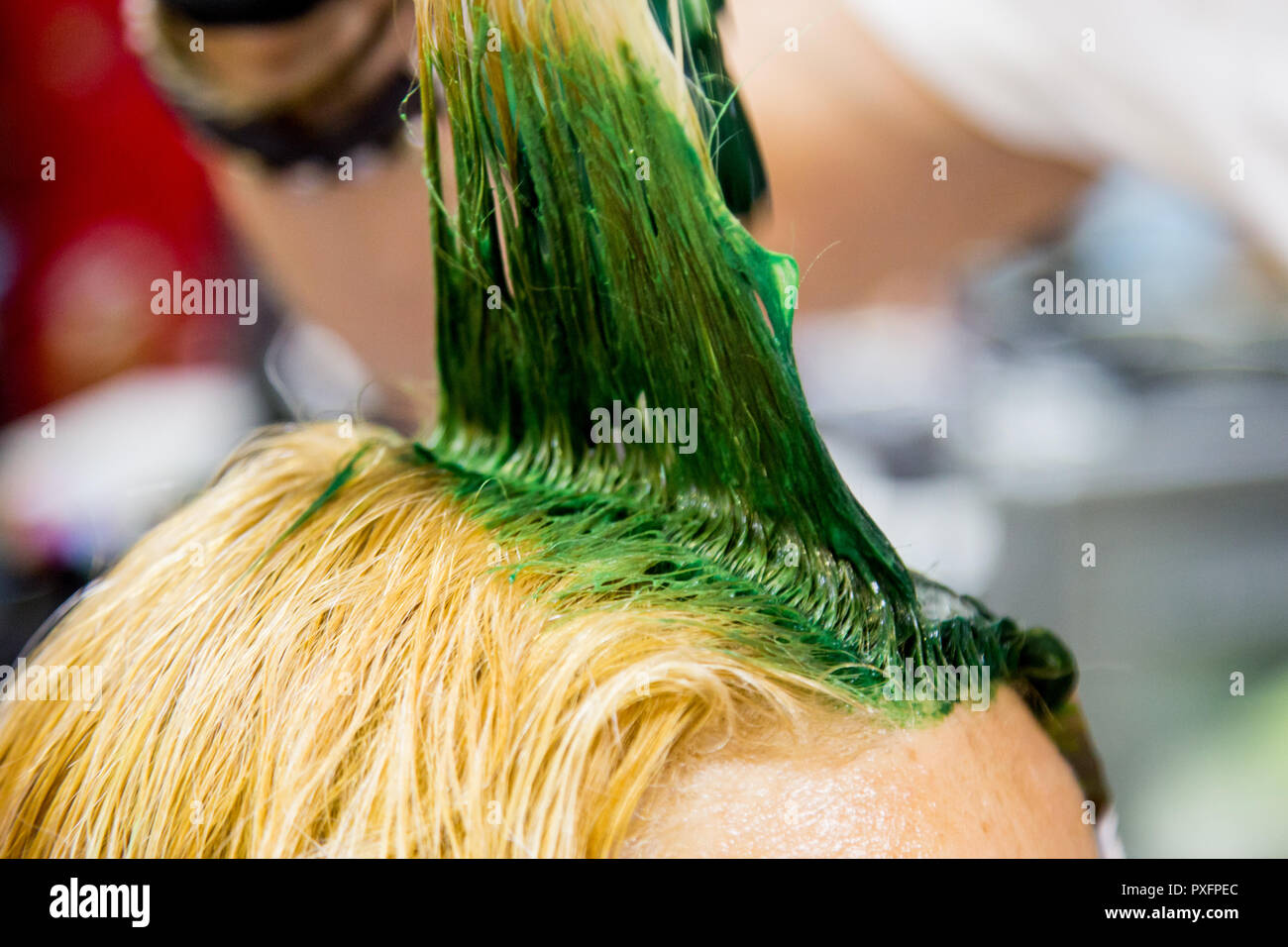 Professional hairdresser dyeing hair. Multicolor Fluorescent staining ...