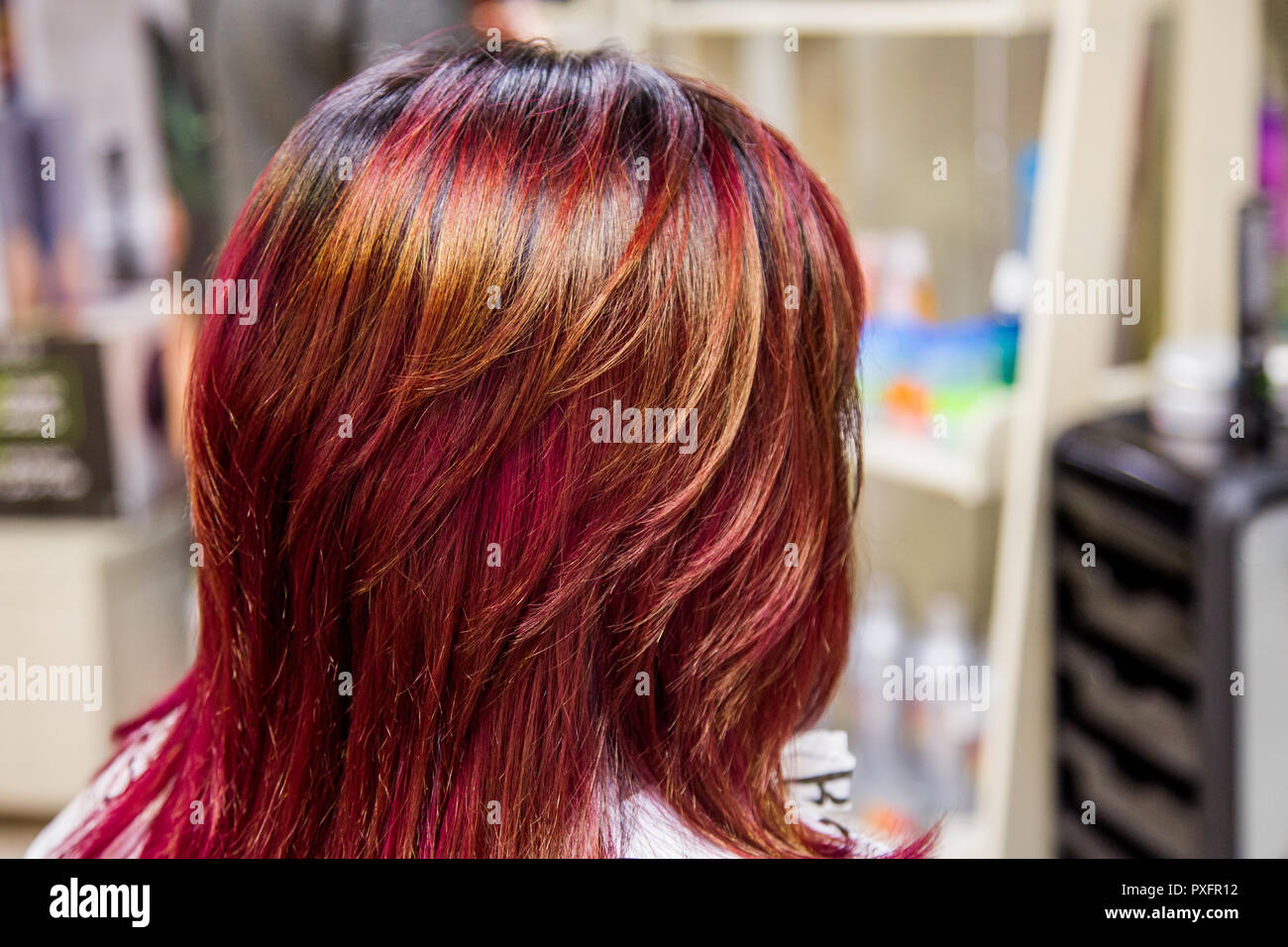 Professional hairdresser dyeing hair. Multicolor Stock Photo - Alamy