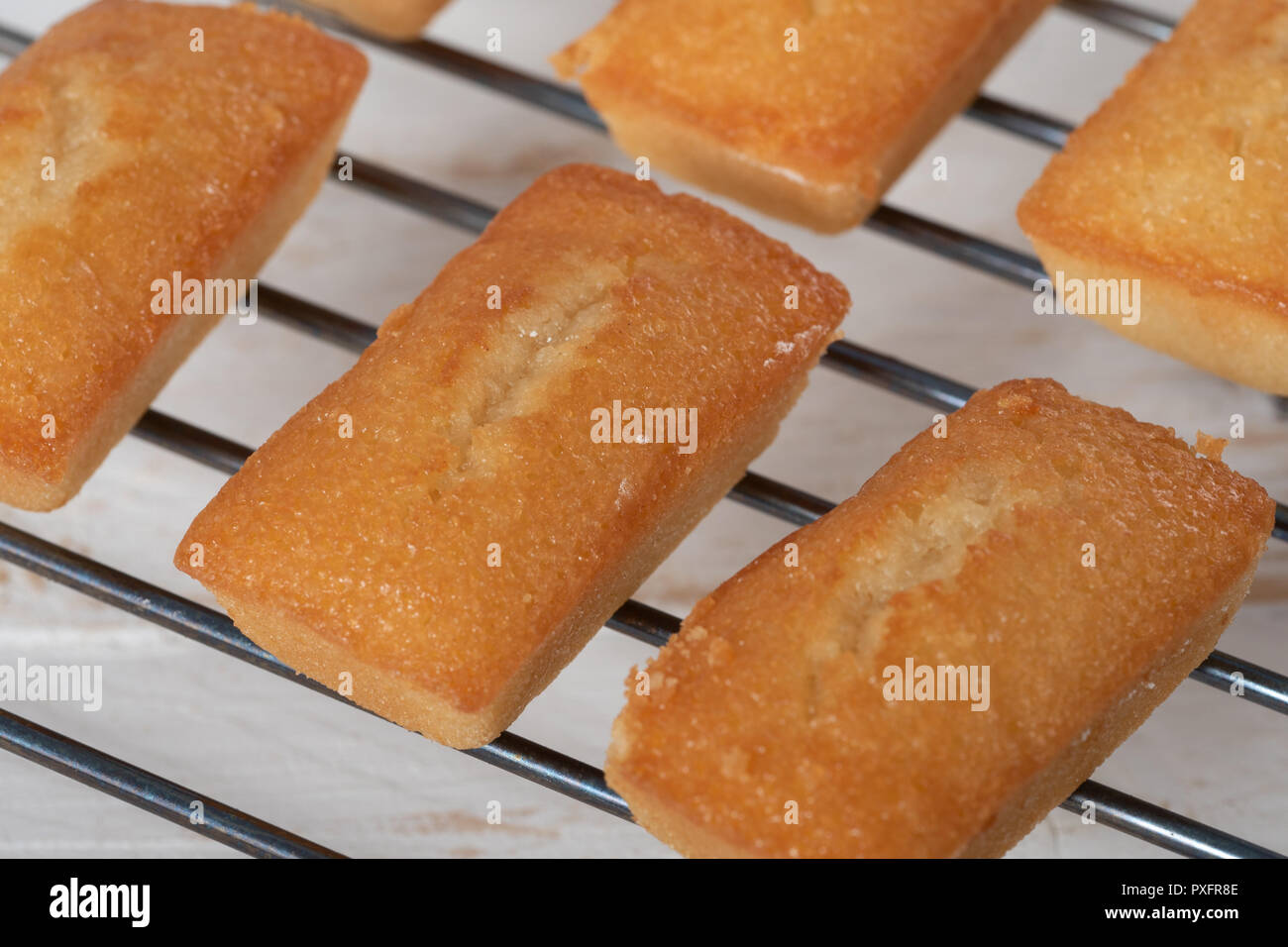 homemade financier cake, a french pastry Stock Photo - Alamy