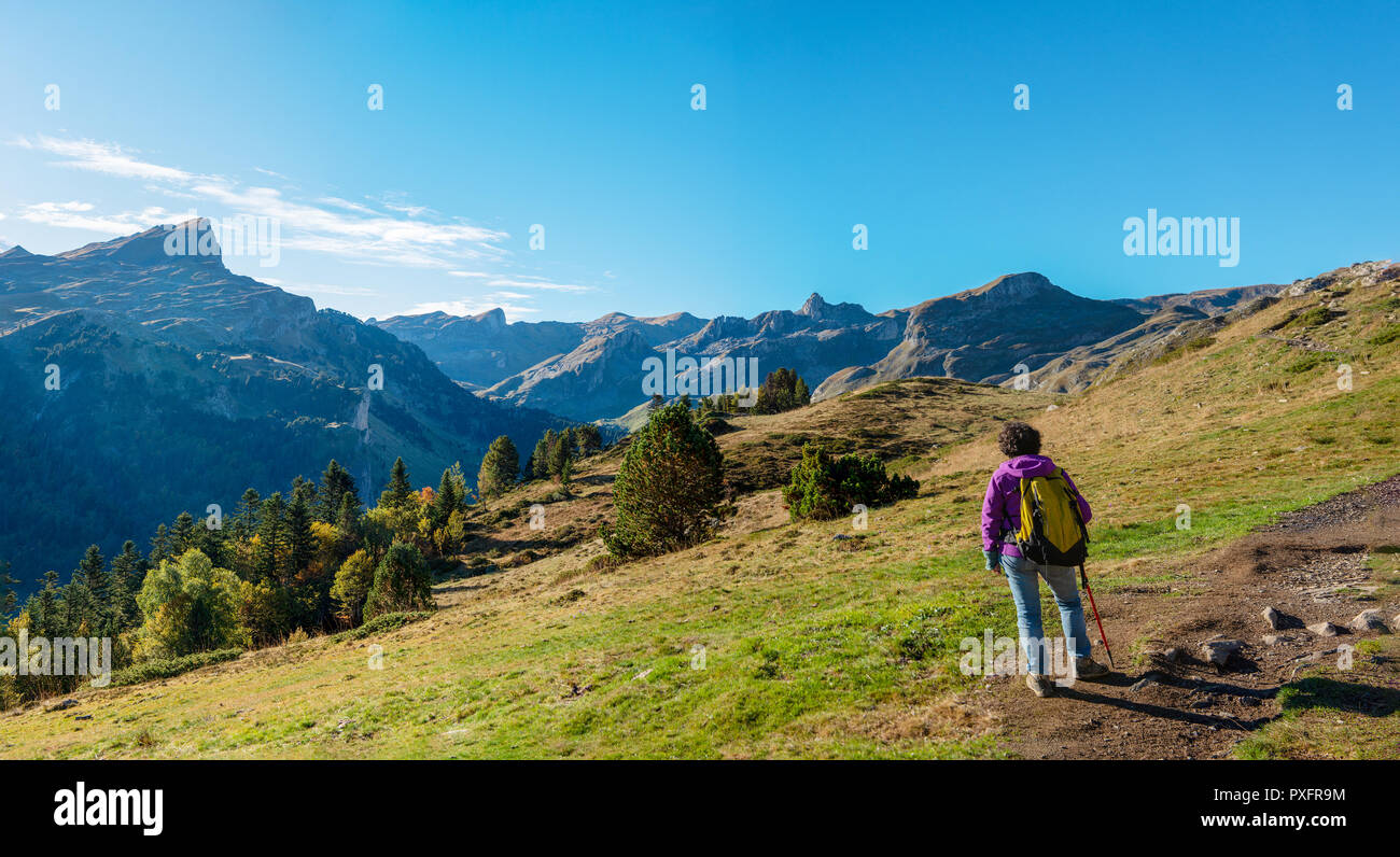 Tooth pic hi-res stock photography and images - Alamy