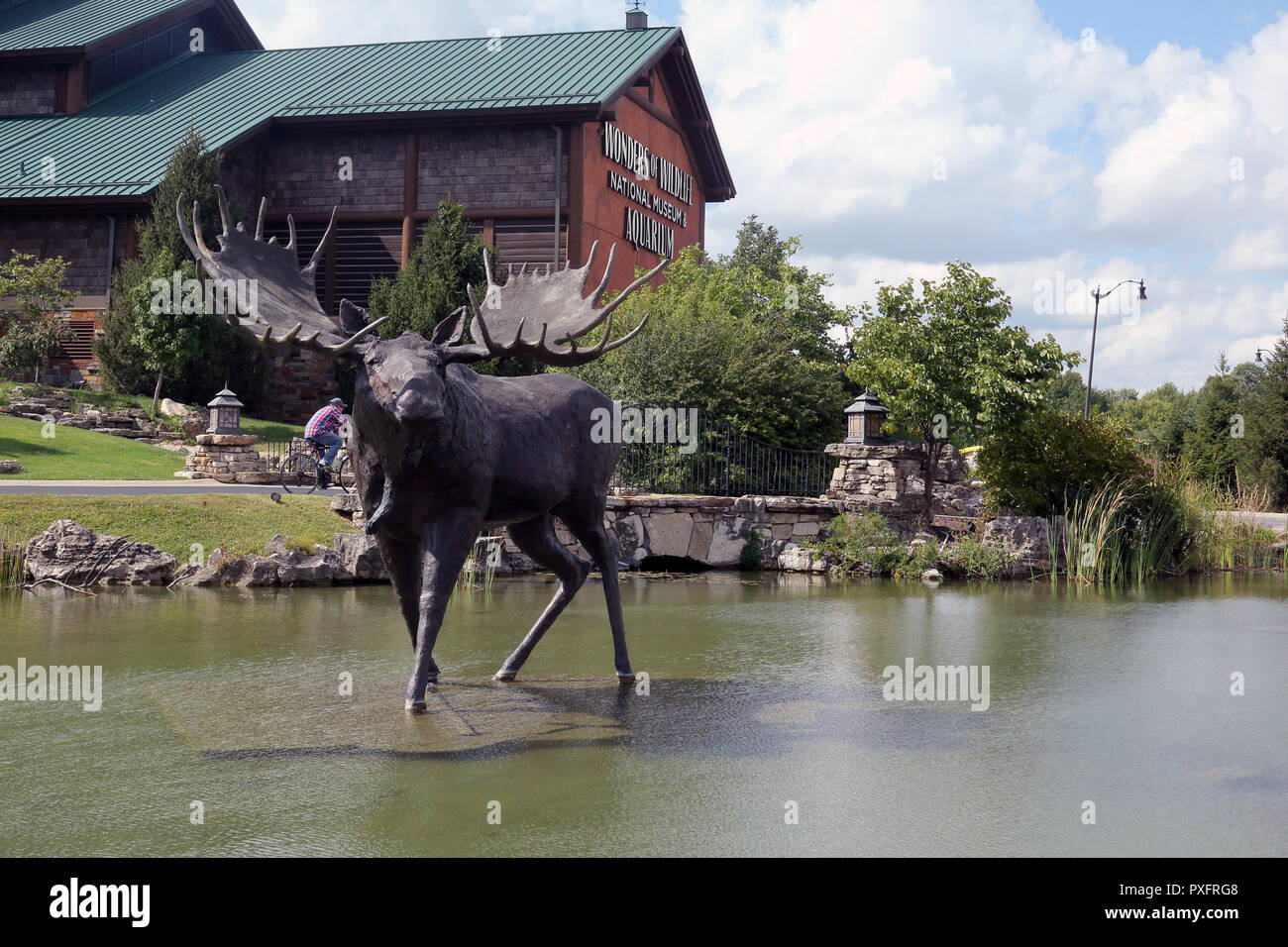 Flagship Bass Pro store in Springfield, Missouri. Sculpture of a bull ...