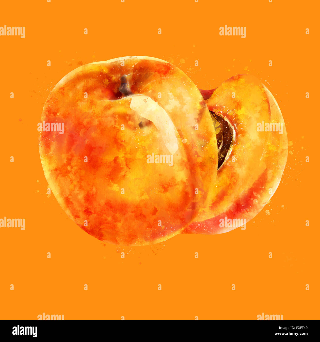 Apricot on orange background. Watercolor illustration Stock Photo - Alamy