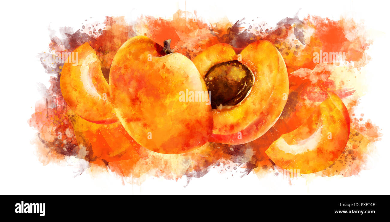 Apricot on white background. Watercolor illustration Stock Photo - Alamy