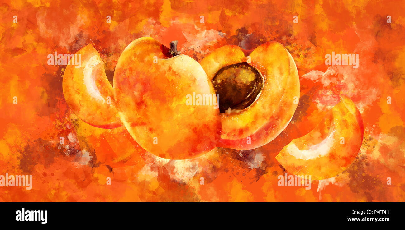 Apricot on orange background. Watercolor illustration Stock Photo - Alamy