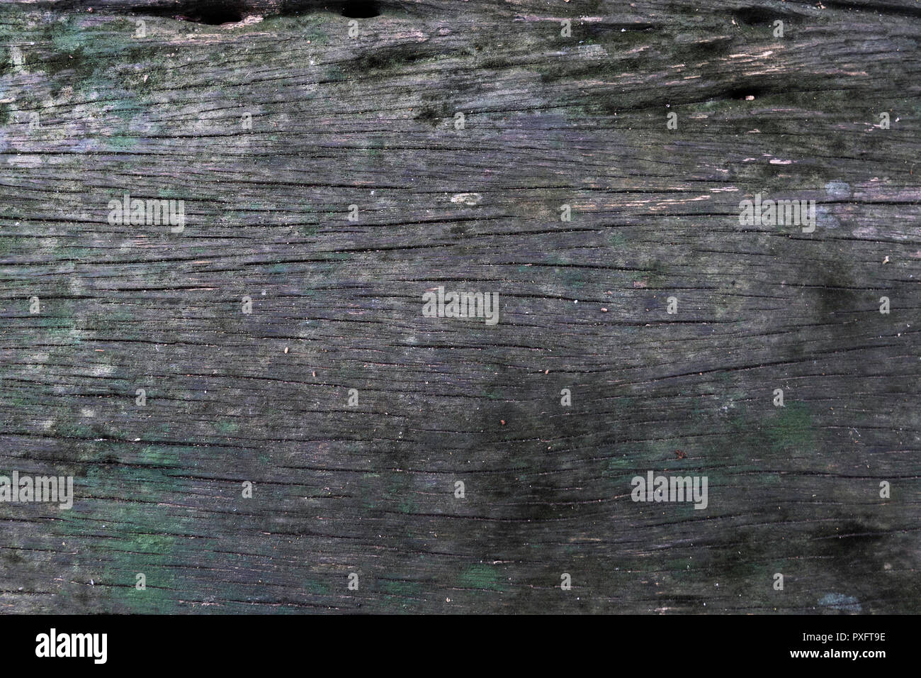 wooden background, old wooden table background and texture Stock Photo ...