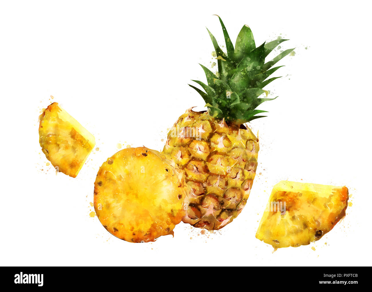 Pineapple on white background. Watercolor illustration Stock Photo - Alamy