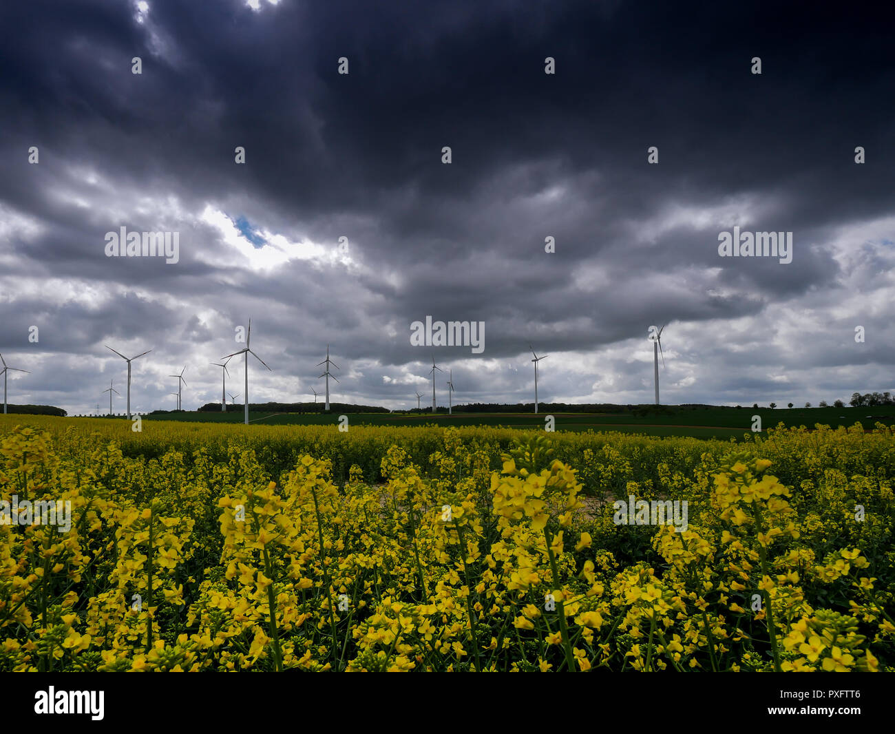 Wind energy field hi-res stock photography and images - Alamy