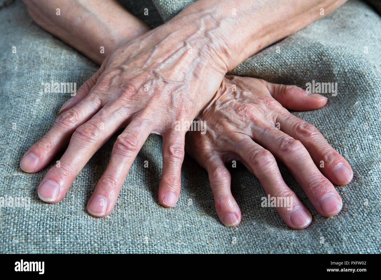 Working wrinkled hands of an old woman. Part of the body Stock Photo ...