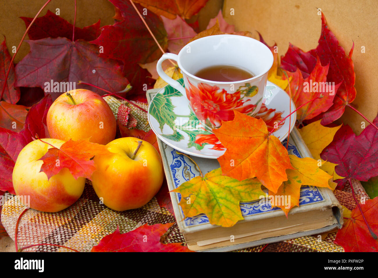 A cup of tea and apples with maple leaves. Autumn tea party, autumn ...