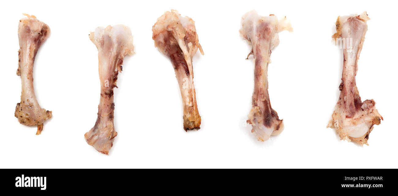 Chicken bones isolated on white background Stock Photo - Alamy