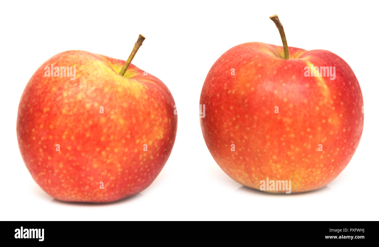 Two red apples isolated on white background Stock Photo - Alamy