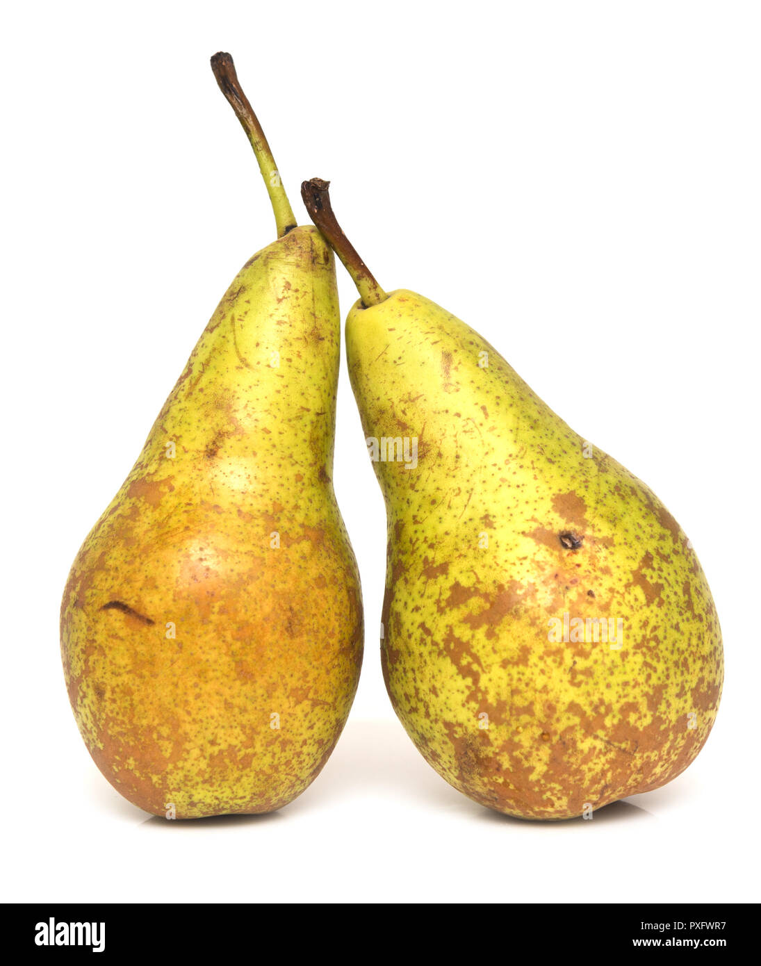 Two pears isolated on white background Stock Photo - Alamy