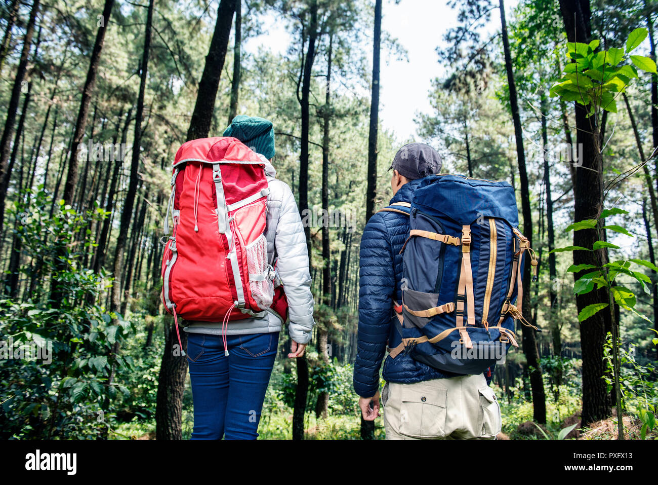 Back view of asian backpacker couple traveling together to the forest ...