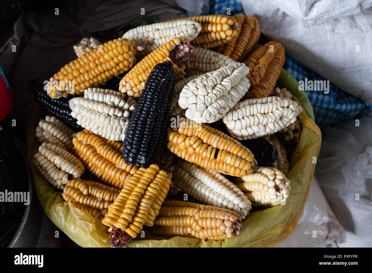 Mix of peruvian native variety of heirloom corns from local market ...