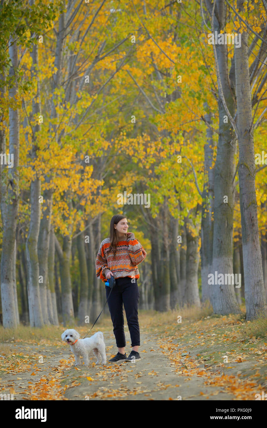 Teen girl walking dog hi-res stock photography and images - Alamy