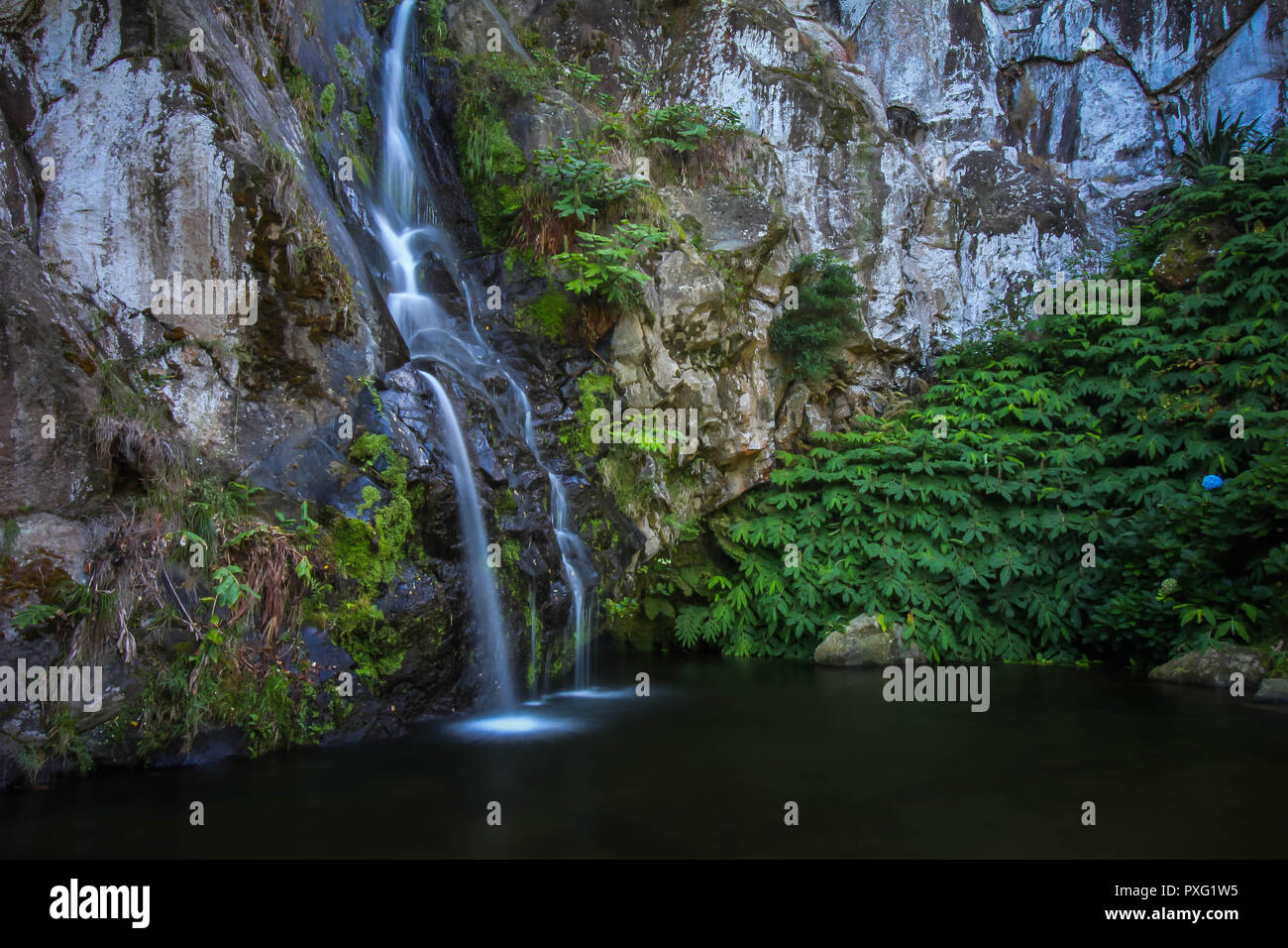 Lush green environment hi-res stock photography and images - Alamy