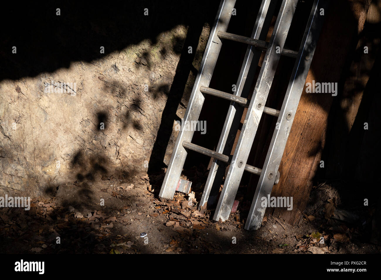 stepladder in barn.footstep, footfall, tread, tramp,gait, walk, way of ...