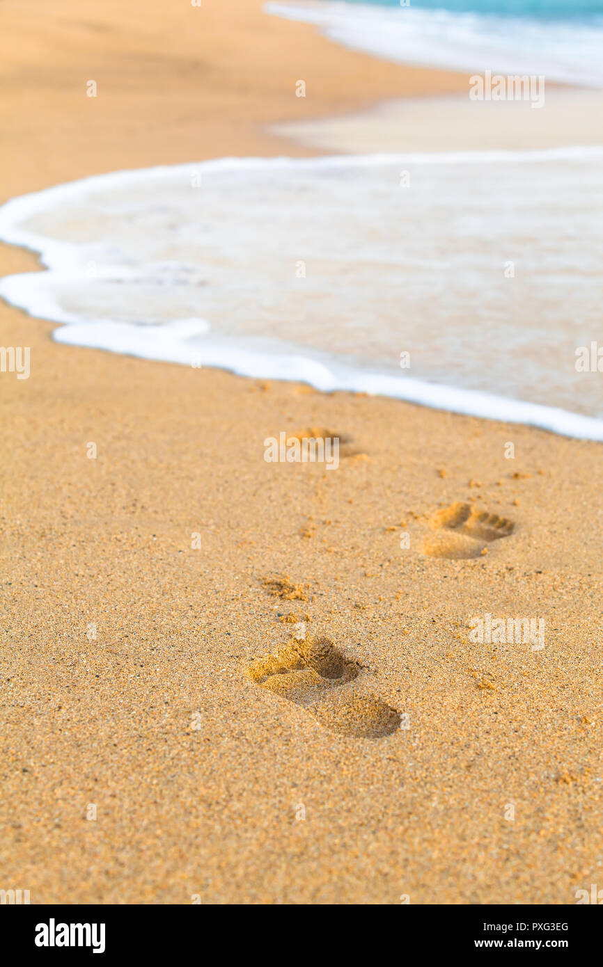 Detail view to footprints in sand at beach shore (copy space Stock ...