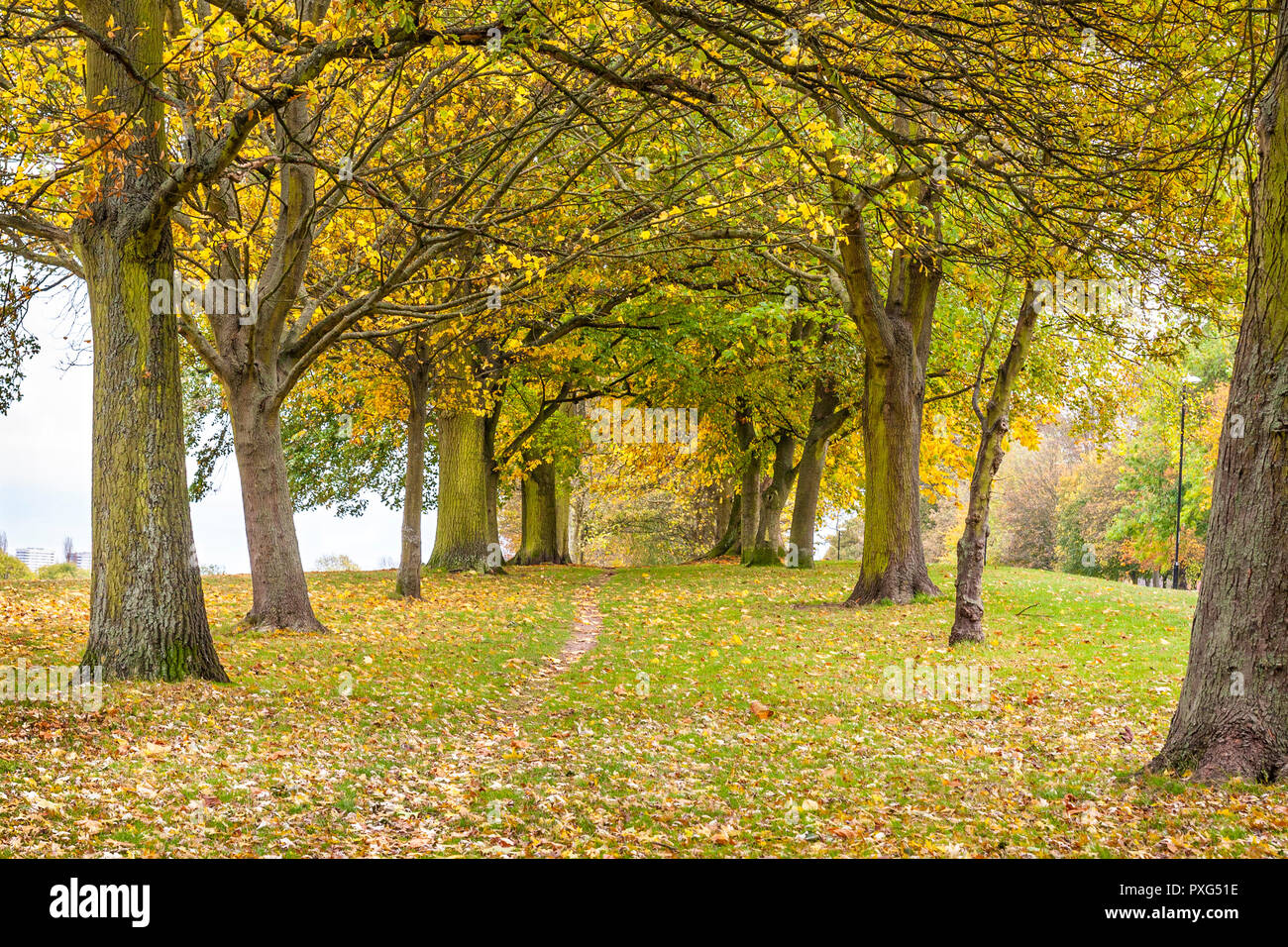 Allesley park hi-res stock photography and images - Alamy