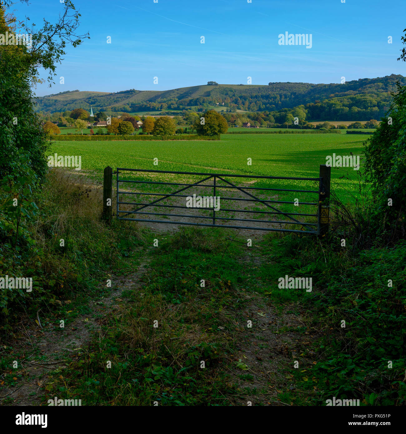 Early evening autumn light on the village of South Harting with the ...