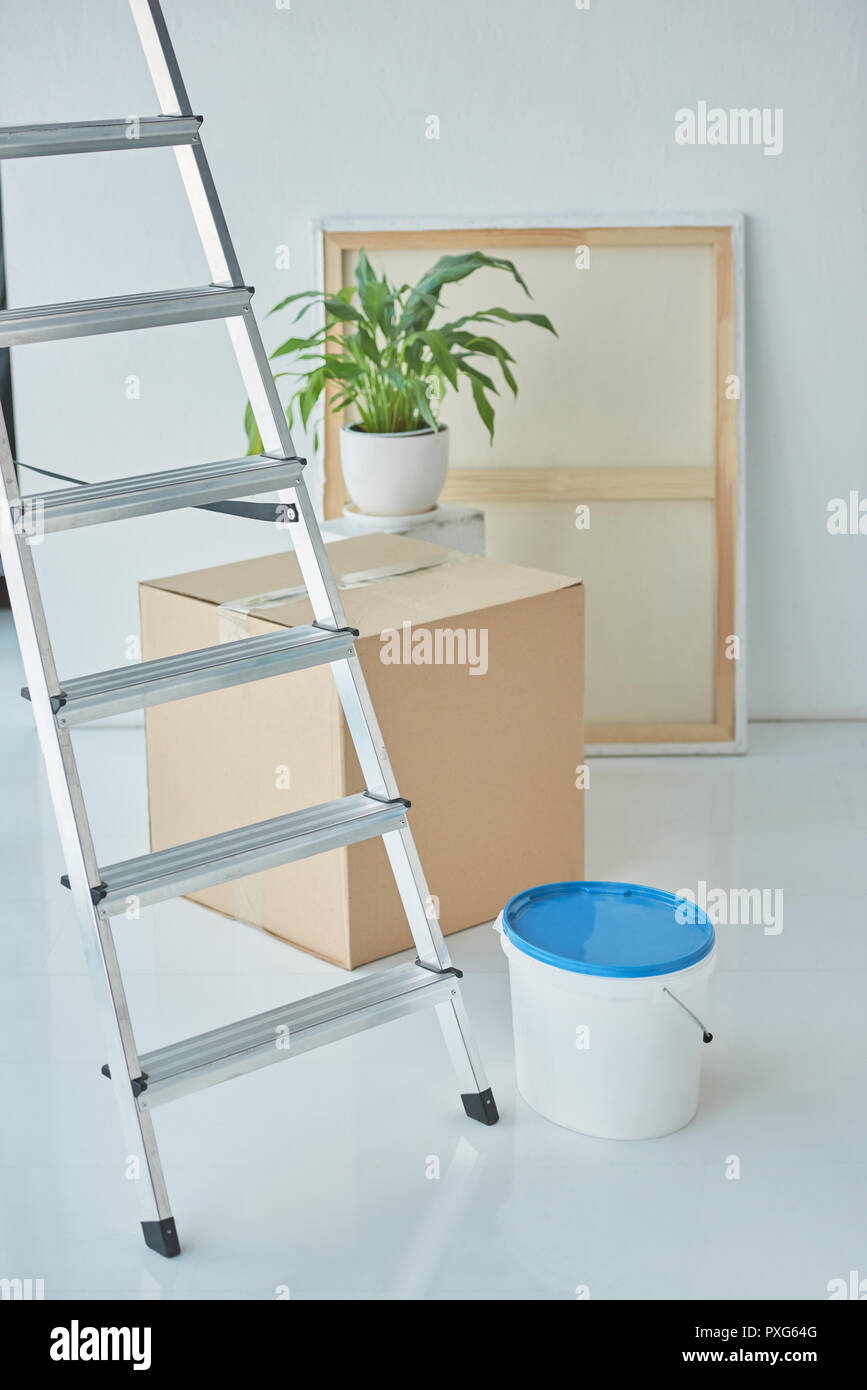 close up view of ladder, plastic bucket on paint, houseplant and ...