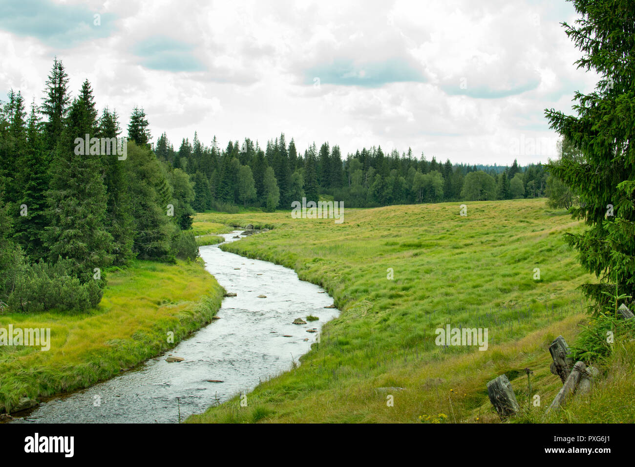 Bohemian forest hi-res stock photography and images - Alamy