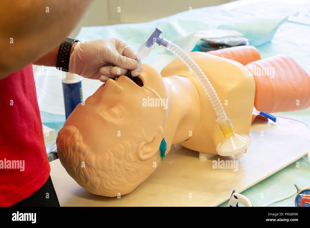 Endotracheal intubation on a medical practice puppet Stock Photo - Alamy