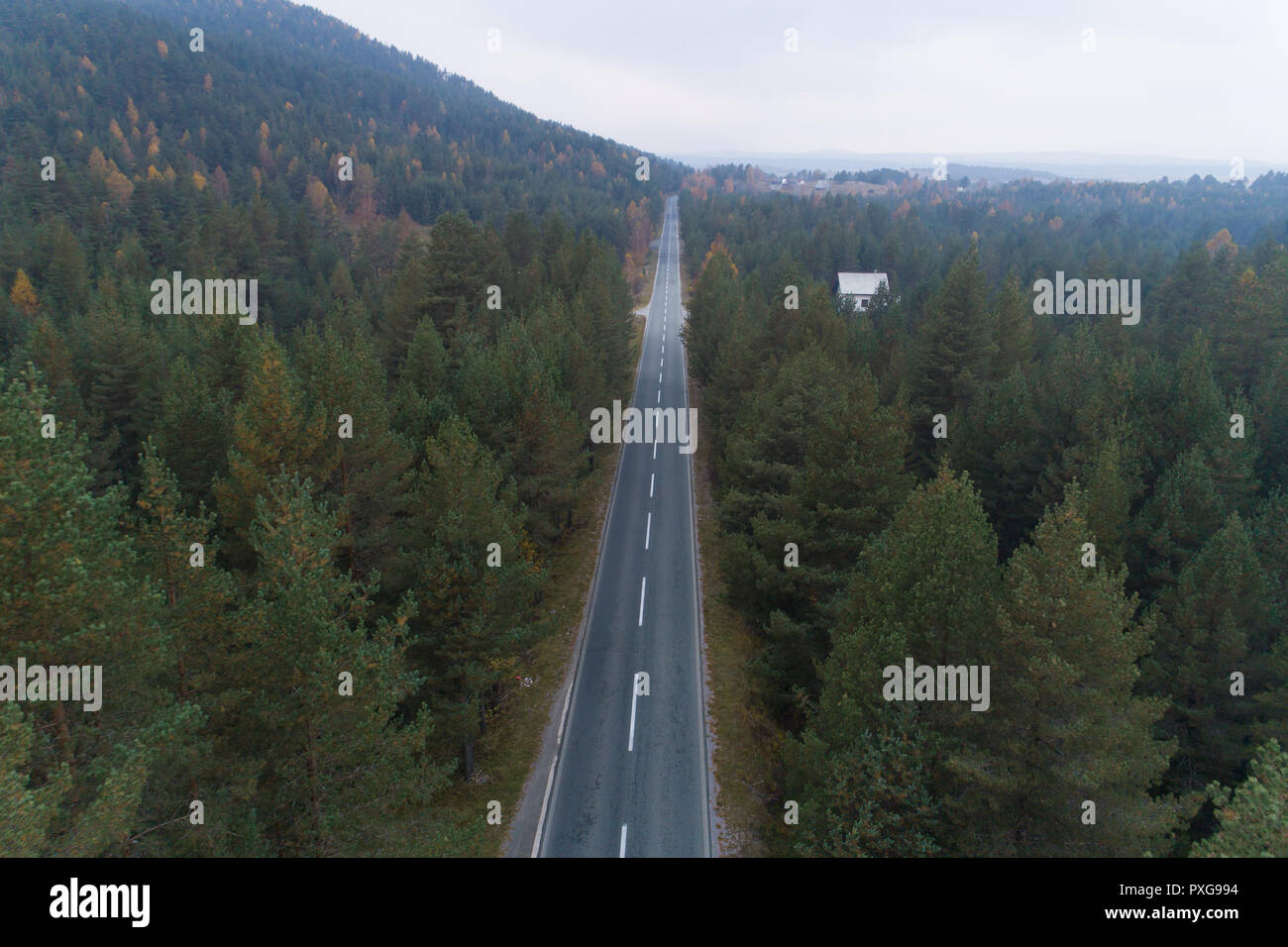 empty road through the pine forest aerial view Stock Photo - Alamy empty road through the pine forest aerial view Stock Photo - Alamy