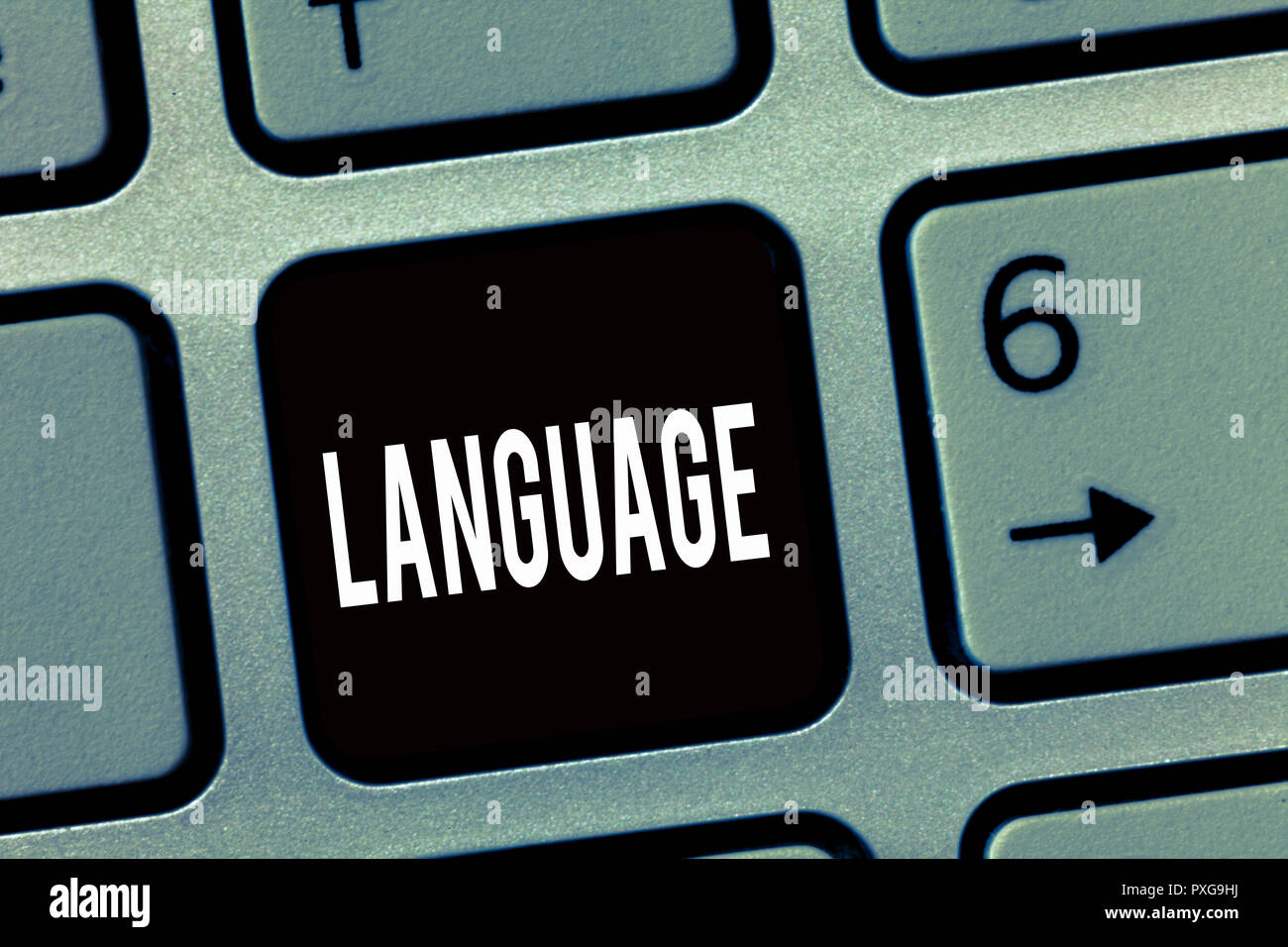 Text sign showing Language. Conceptual photo method huanalysis ...