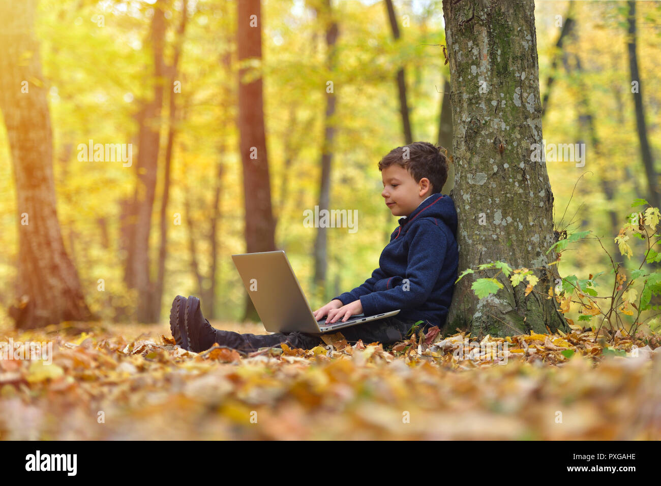 Little boy with laptop in forest, autumn colors, sunset warm light ...