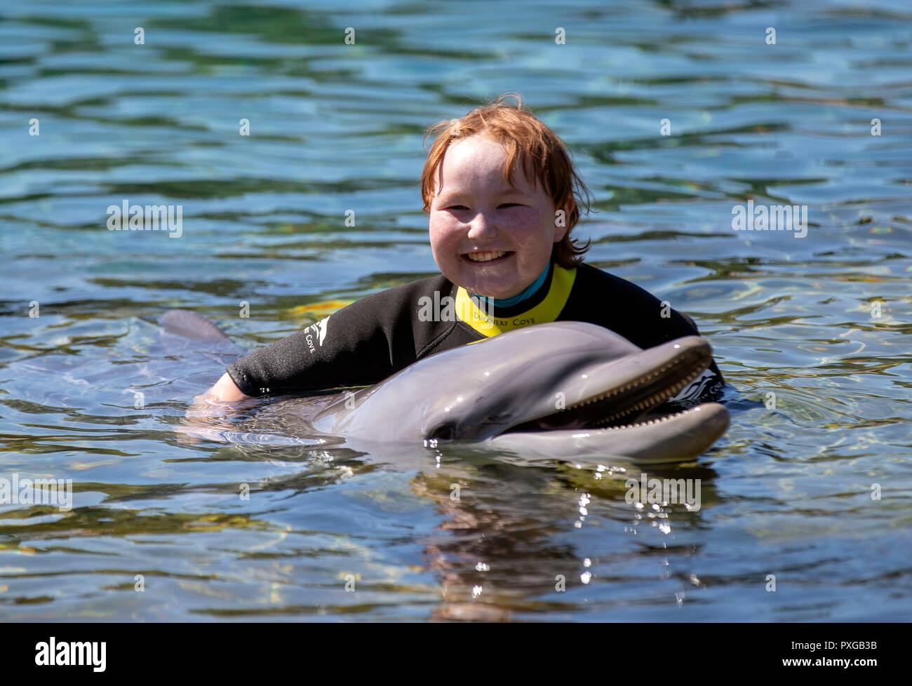 Emma Wingfield, 11, from Gosport, swims with a dolphin during the ...