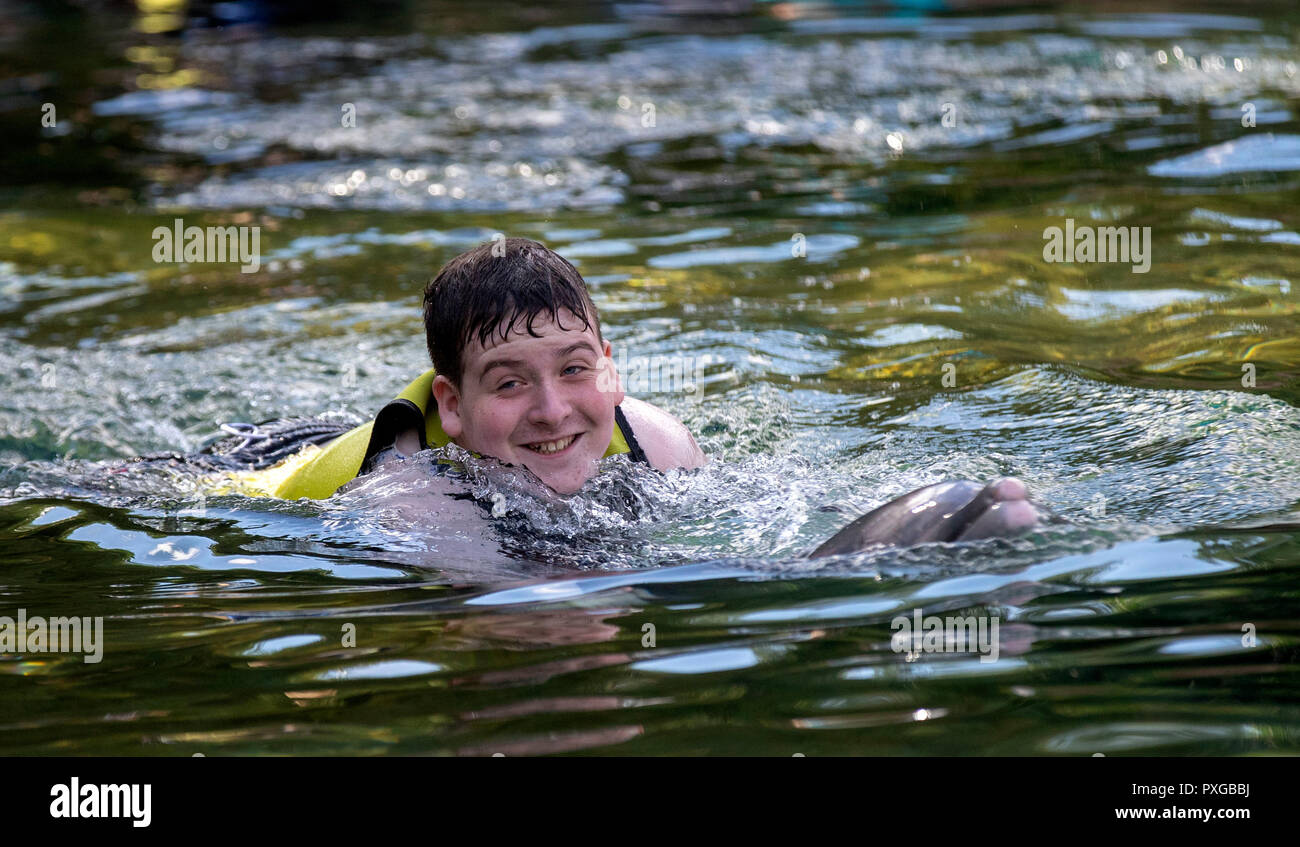 Marc McGarel, 13, from Ballymoney in Co Antrim, swims with a dolphin ...