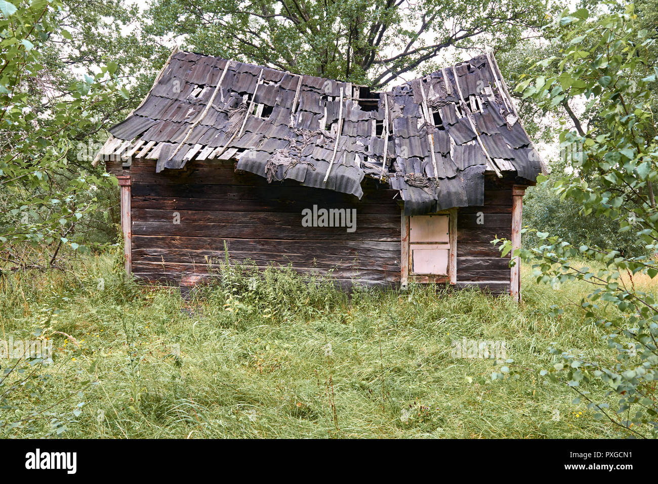 old wooden house in the forest Stock Photo - Alamy