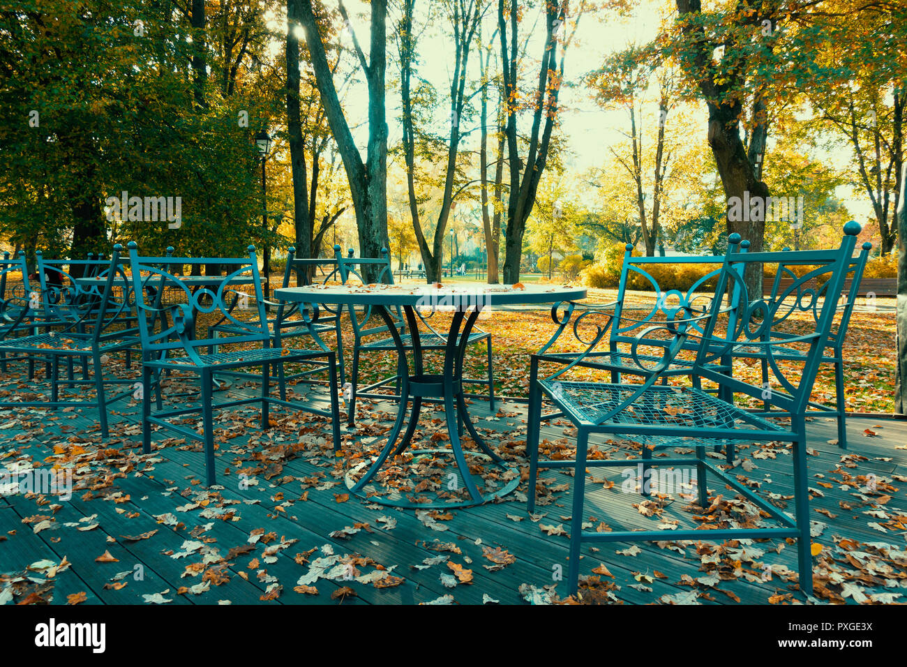 Outdoor cafe terrace. Table with golden autumn leaves in autumn Stock ...