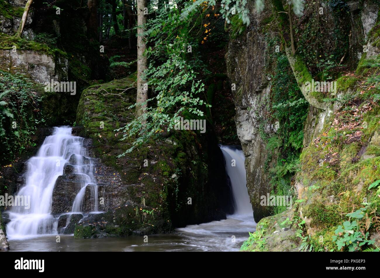 Mabinogion hi-res stock photography and images - Alamy