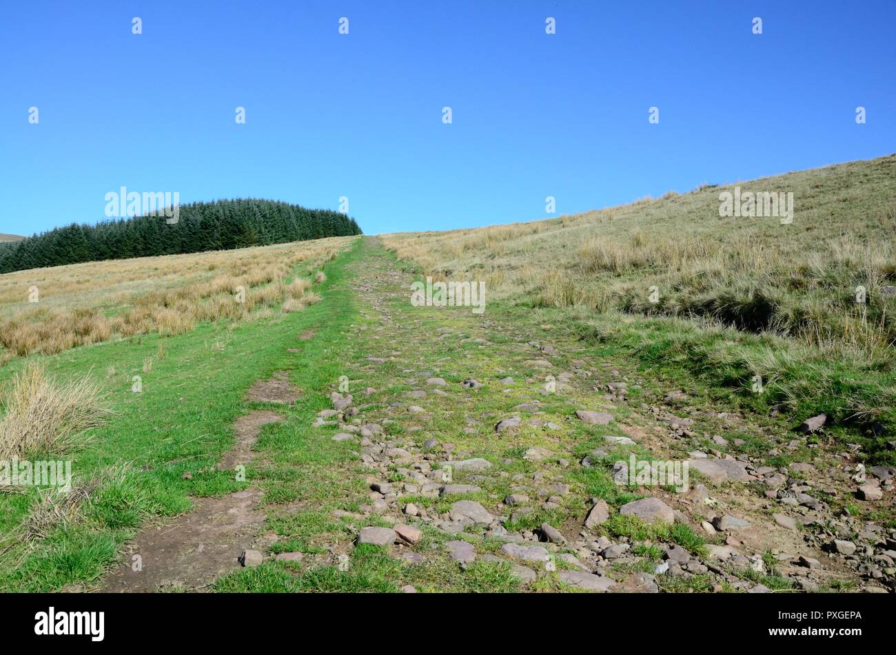 Sarn helen hi-res stock photography and images - Alamy