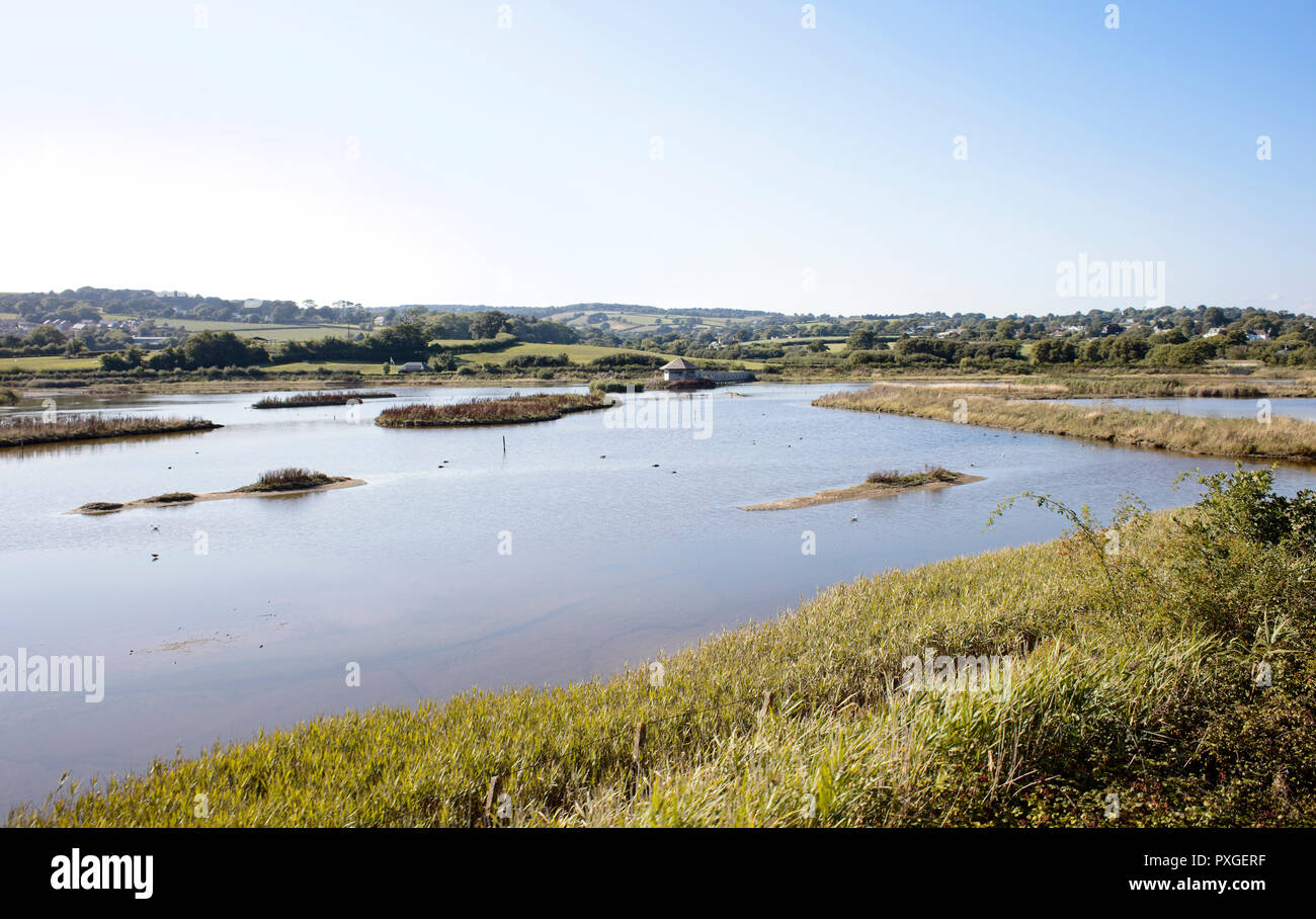 The Axe Marshes local nature reserve, Seaton, Devon, England, UK Stock ...