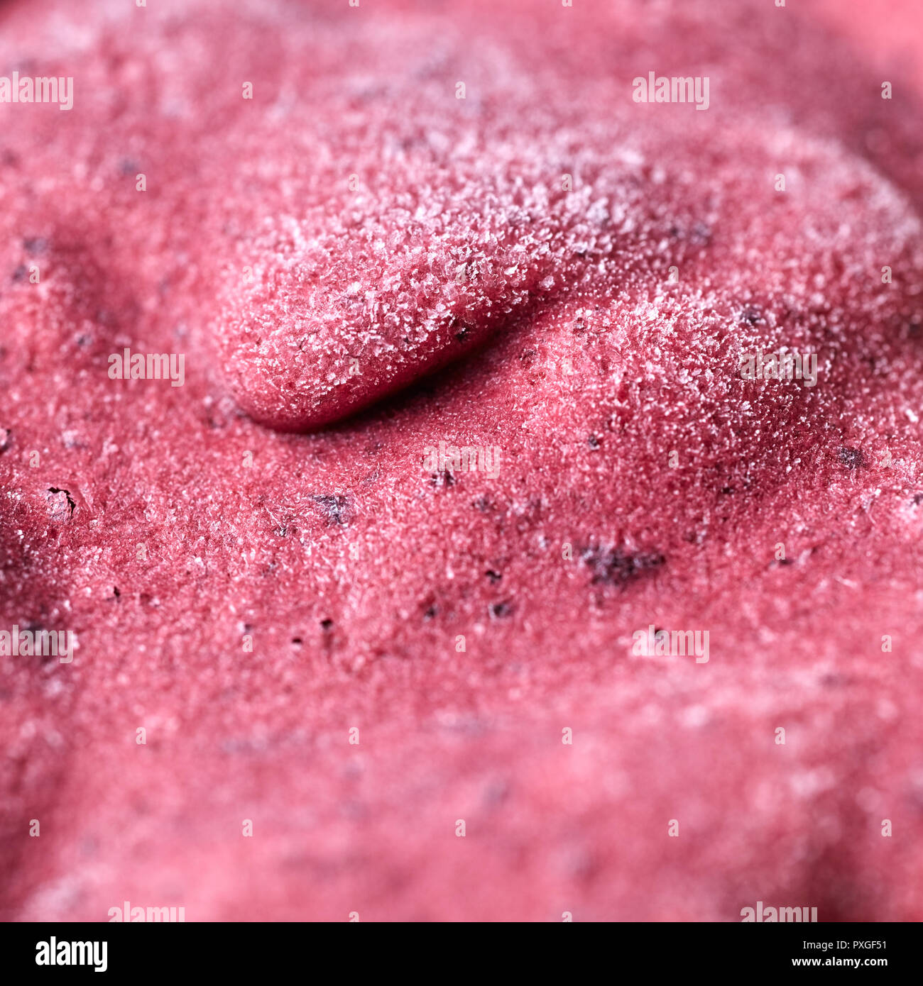 Macro photo of summer dessert ice cream fruit. Layout food for your ...