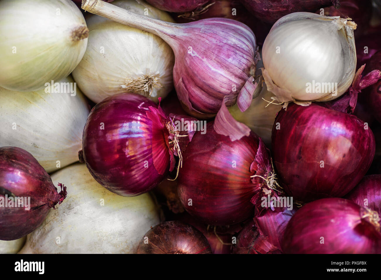 whole bulbs blue and white onions background Stock Photo - Alamy