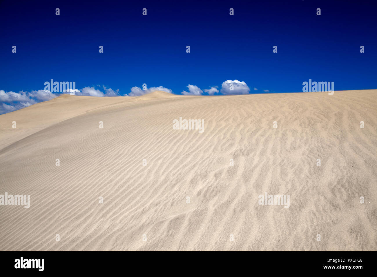sand and wind pattern on dune surface, sand flying in strong wind ...