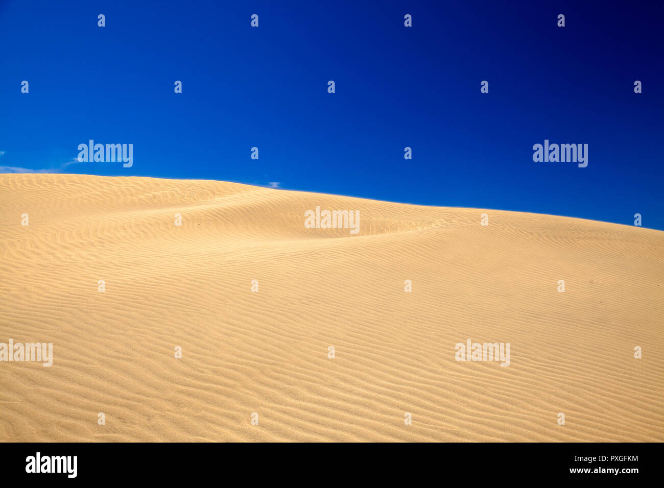 sand and wind pattern on dune surface, sand flying in strong wind ...